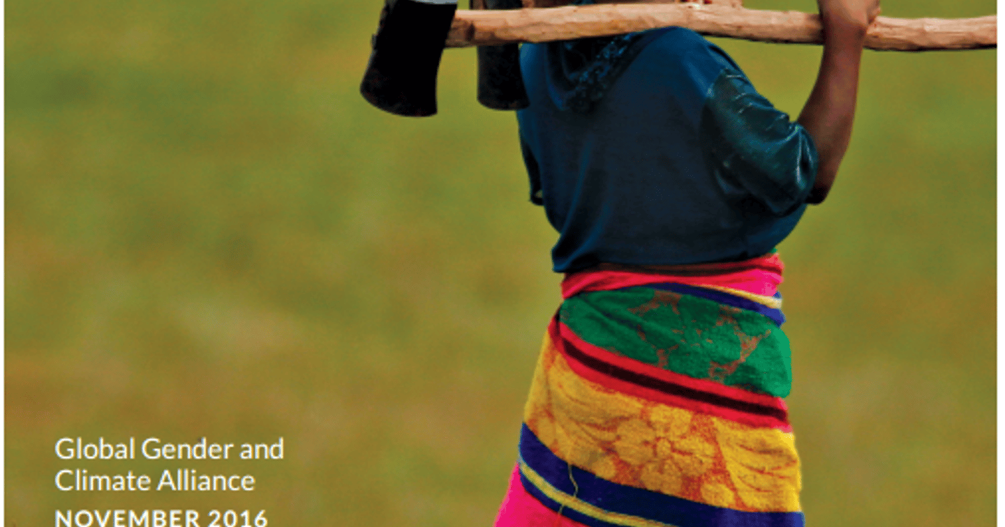 Gender and Climate Change: A Closer Look at Existing Evidence (2016) — WEDO